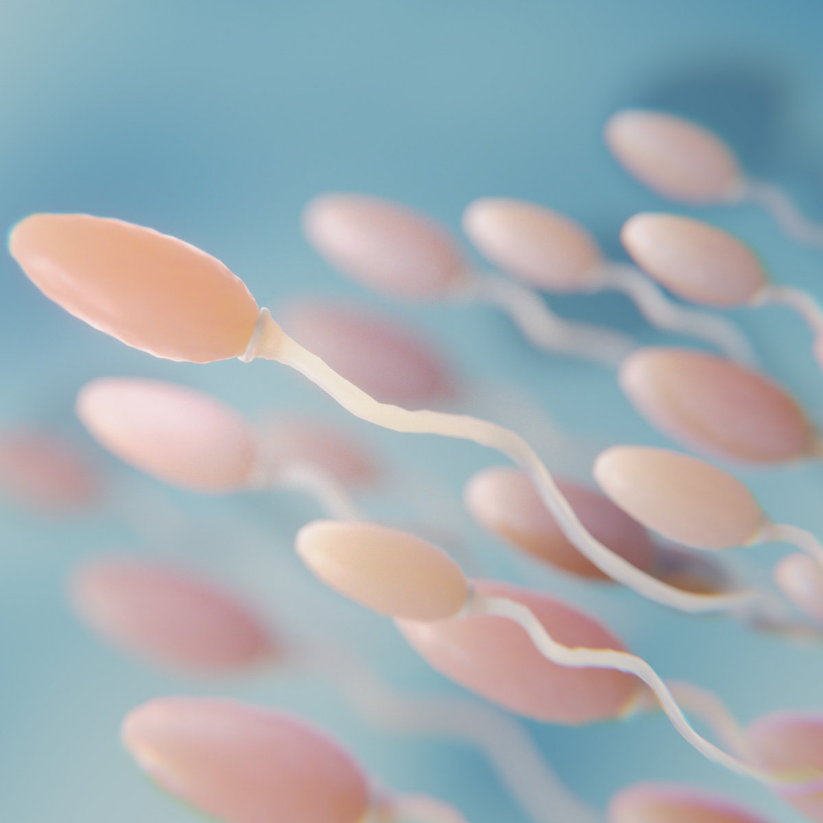 Antioxidants for male subfertility | Cochrane Taiwan